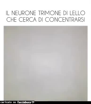 Shhhh silenzio che mi sto concentrando… vaccata pubblicata da Lello ...