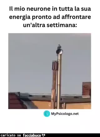 Me s'è impazzito pure l'unico neurone bono che m'era rimasto ? Daje ...